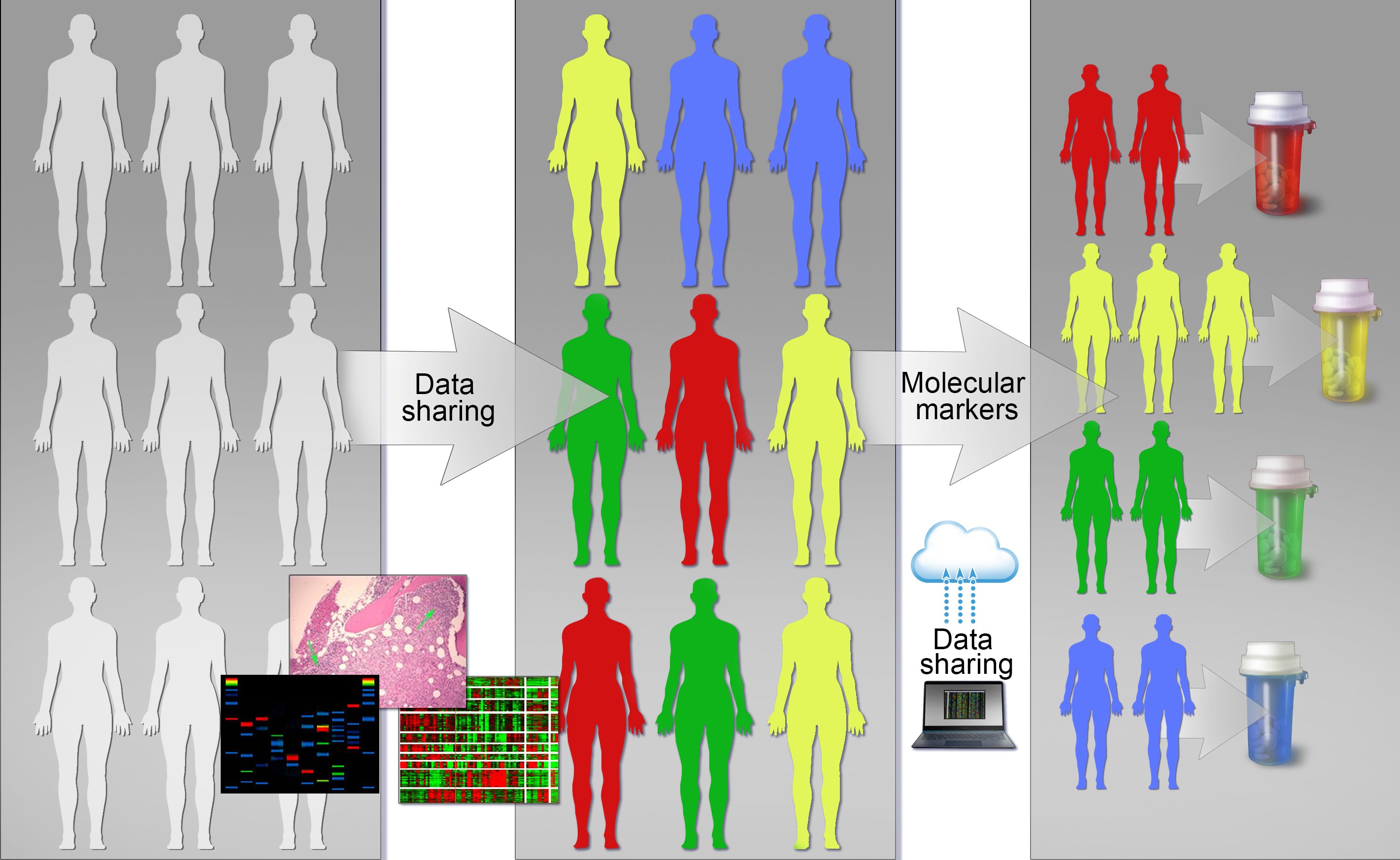 Genetics, Genomics, and Epigenetics - Hematology.org