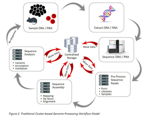 Precision Medicine: Tailoring Treatment and Monitoring Response to ...