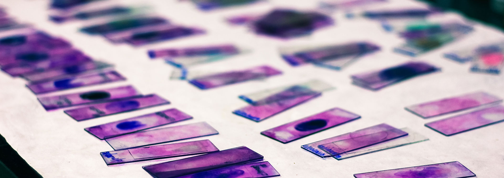 Education - Hematology.org